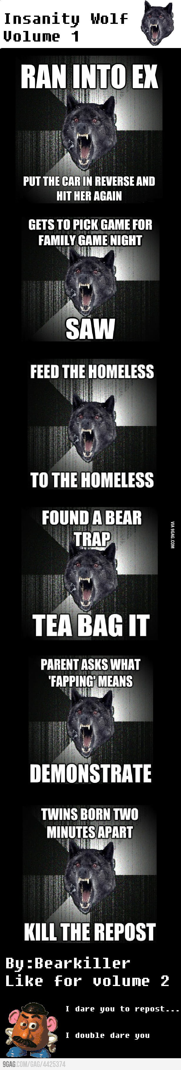 Insanity Wolf Volume 1 - 9GAG