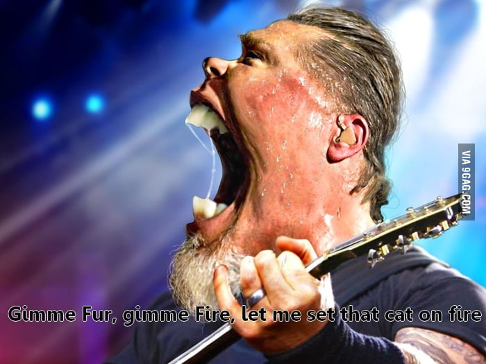 James Catfield - 9GAG