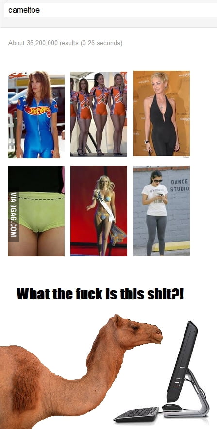 I got a cameltoe! - 9GAG