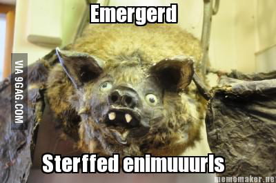 Emergerd - 9GAG