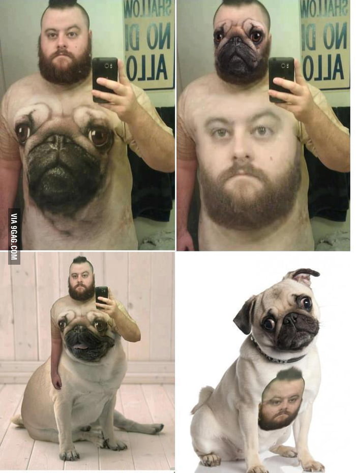 Lil'Pug - 9GAG