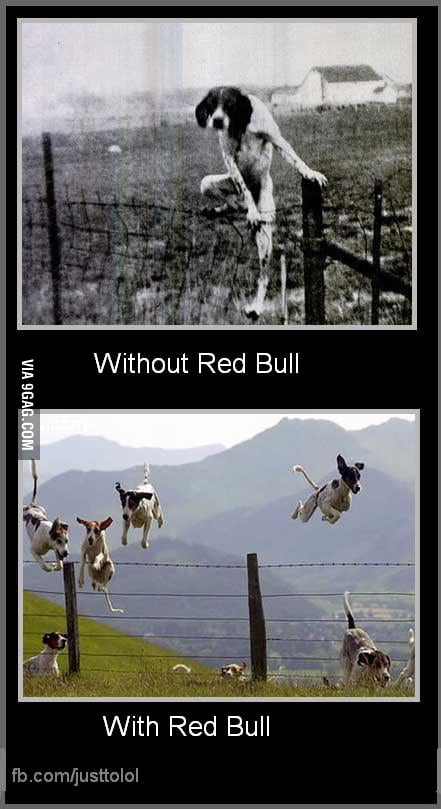 The power of Red Bull - 9GAG