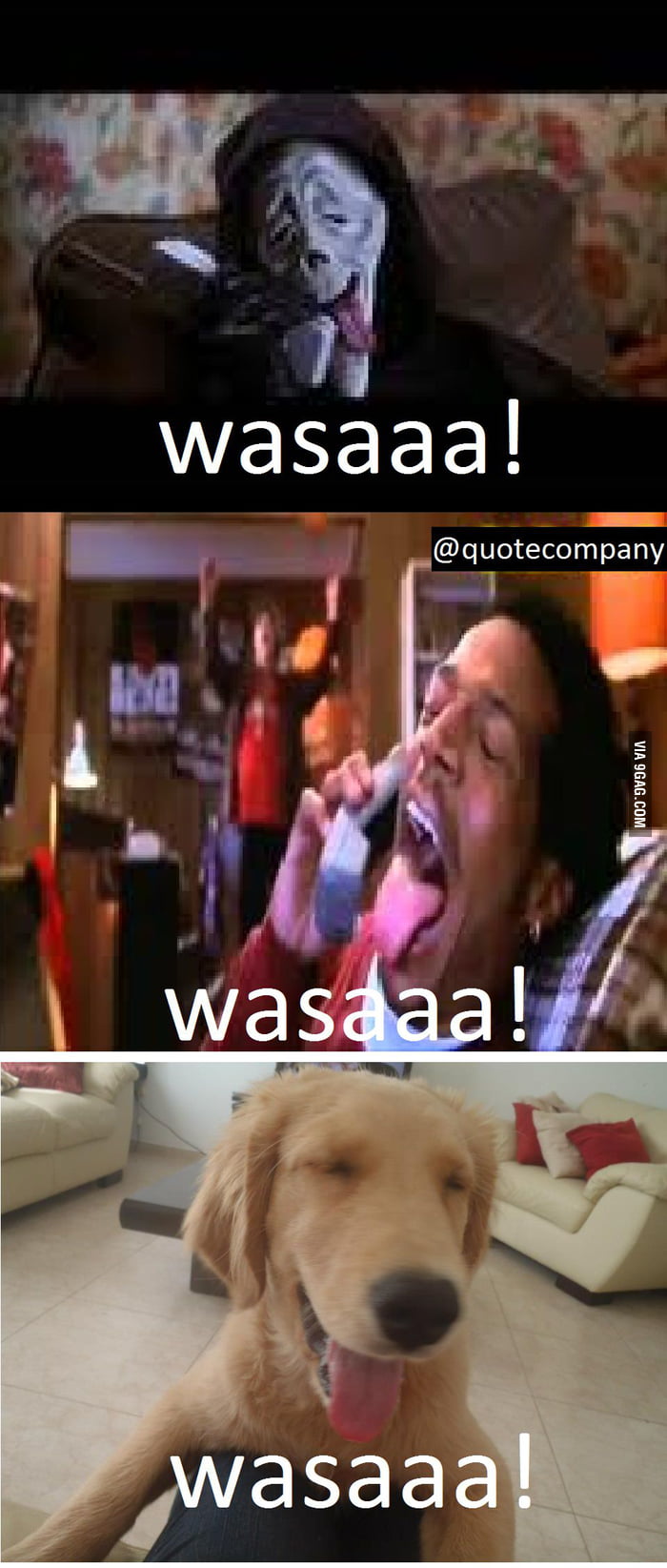 Wasaaaa! - 9GAG