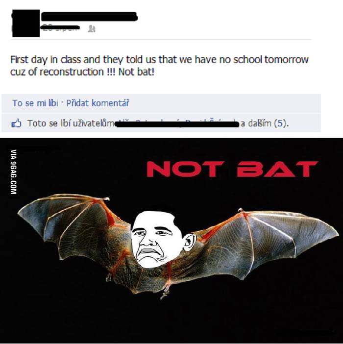 Not Bat - 9GAG