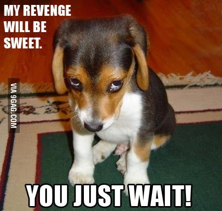 Revenge dog - 9GAG