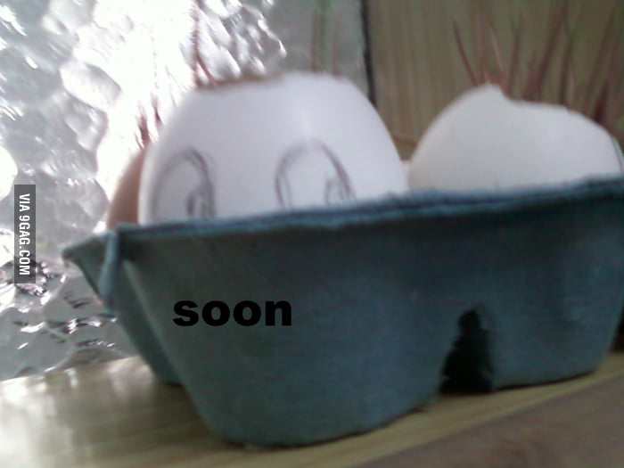 SOON EGG - 9GAG