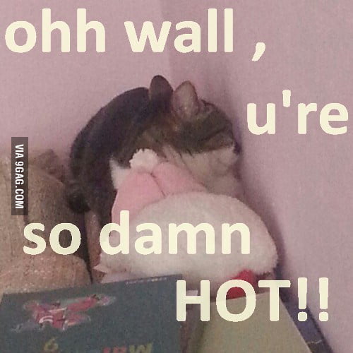 Ohh wall, you are so damn hot - 9GAG