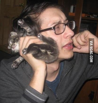 I can't talk right mrow; I'm getting a fuzzy reception. - 9GAG