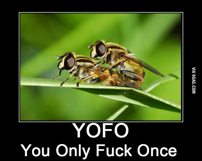 YOFO... - 9GAG