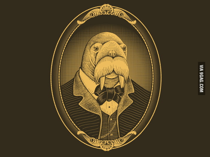 Portrait of the Walrus as a Young Man - 9GAG