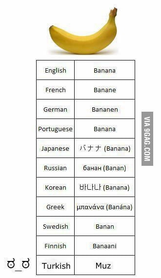Turkish... U mad ? - 9GAG