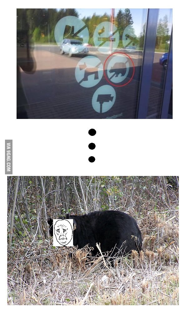 Sad Ted..... - 9GAG