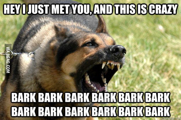 Every untrained dog it seems. - 9GAG