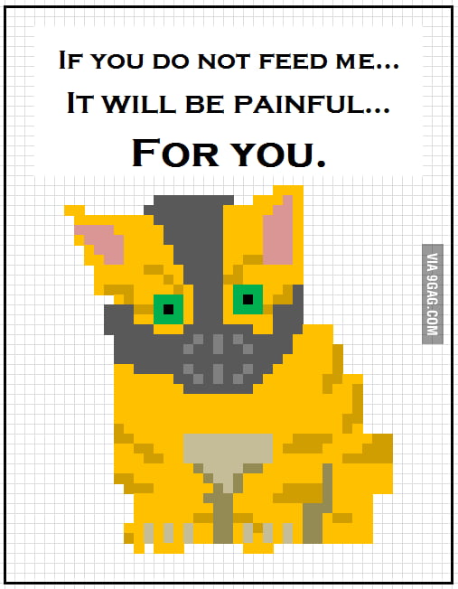 Bane Kitty is Hungry - 9GAG