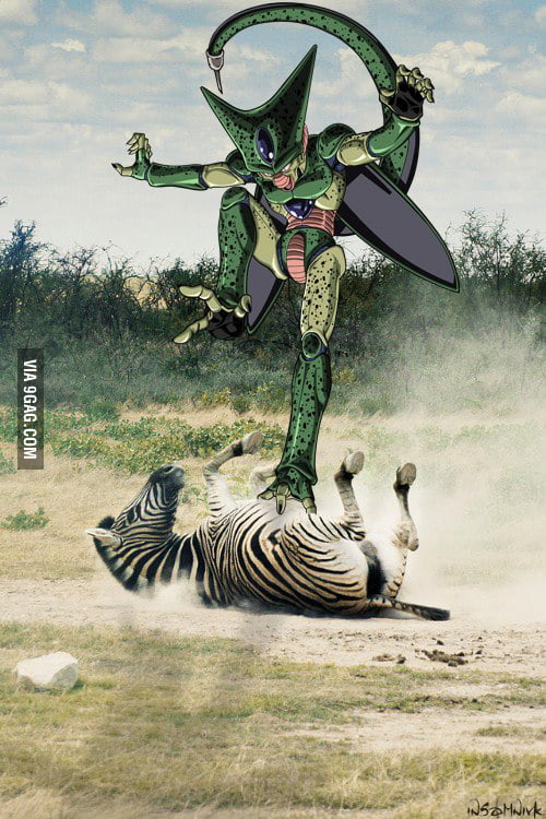 Just cell - 9GAG