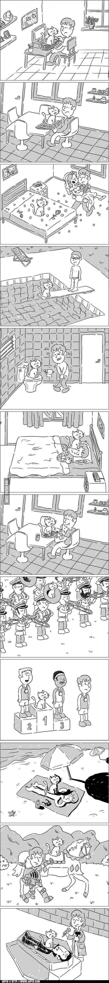 Damn Cats!! - 9GAG