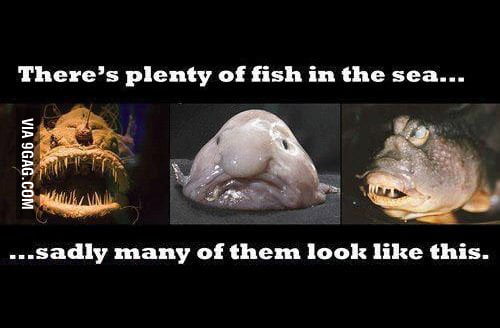 Freaking fish - 9GAG