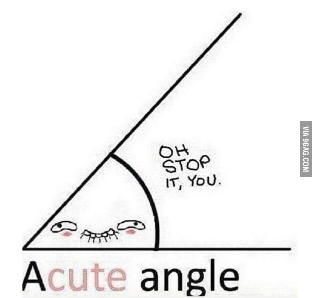 A-cute angle - 9GAG