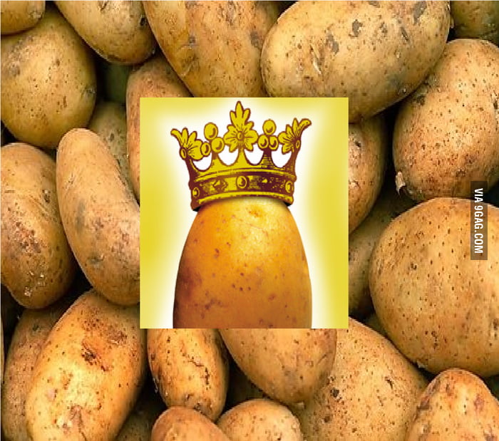 The king of potatoes - 9GAG