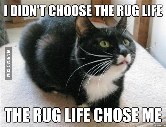 Rug Life - 9GAG