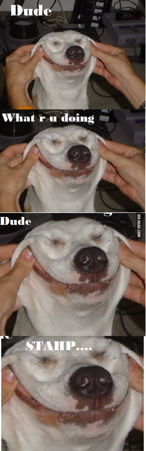 Guys Just Stahp - 9GAG