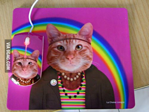 Nyan cat mouse pad and mouse :D - 9GAG