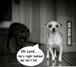 He's right behind me isn't he? - 9GAG