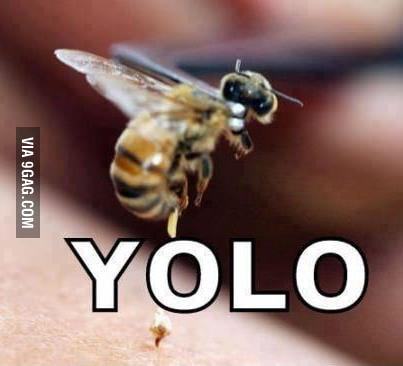 True meaning of YOLO - 9GAG