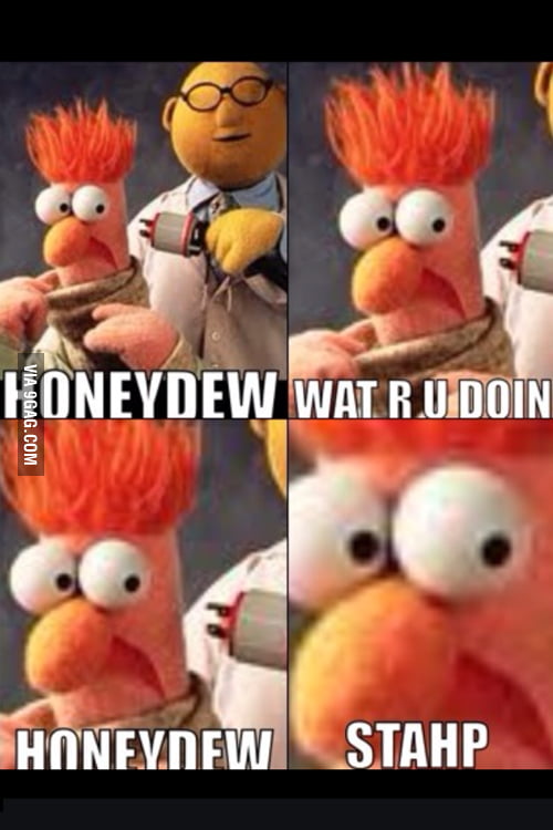 Wat r u doin? Honeydew..STAHP - 9GAG