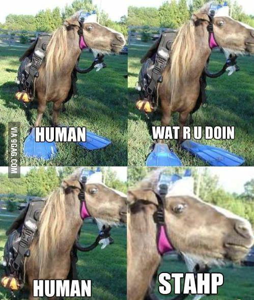HUMAN STAHP :( - 9GAG