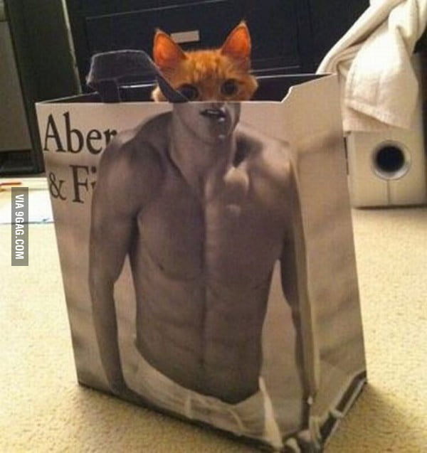 Catman - 9GAG