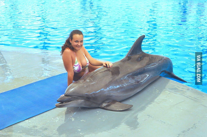 We're not here about dolphin - 9GAG