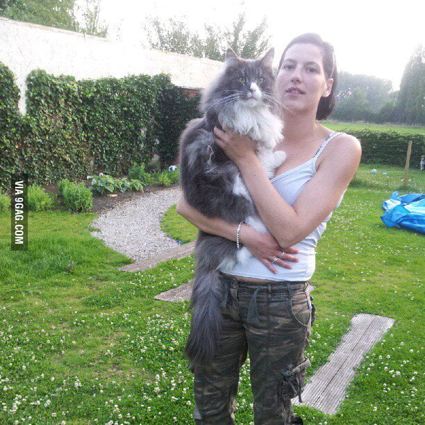 It's my mommy... Last warning - 9GAG