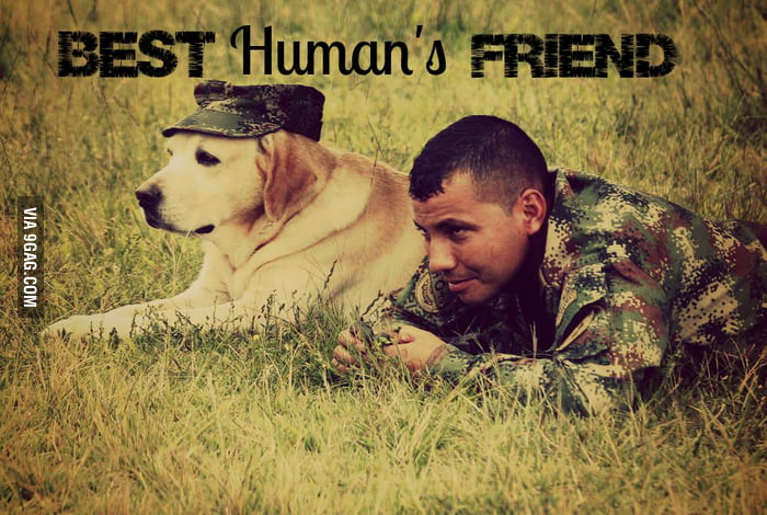 Human's best friend - 9GAG