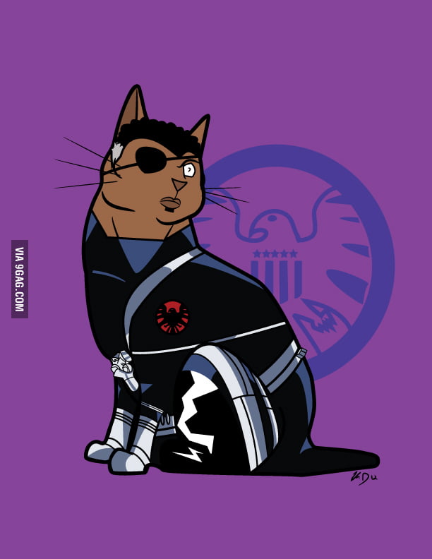 Nick Fury The Cat 9GAG nick-fury-the-cat-9gag