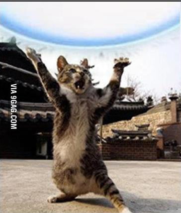 Cat spirit bomb - 9GAG