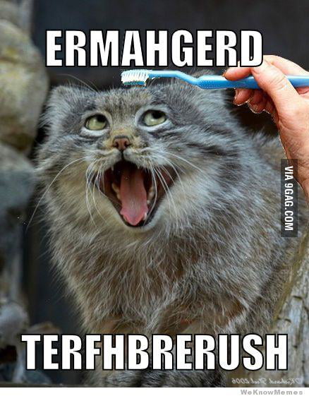 The Toothbrush - 9GAG