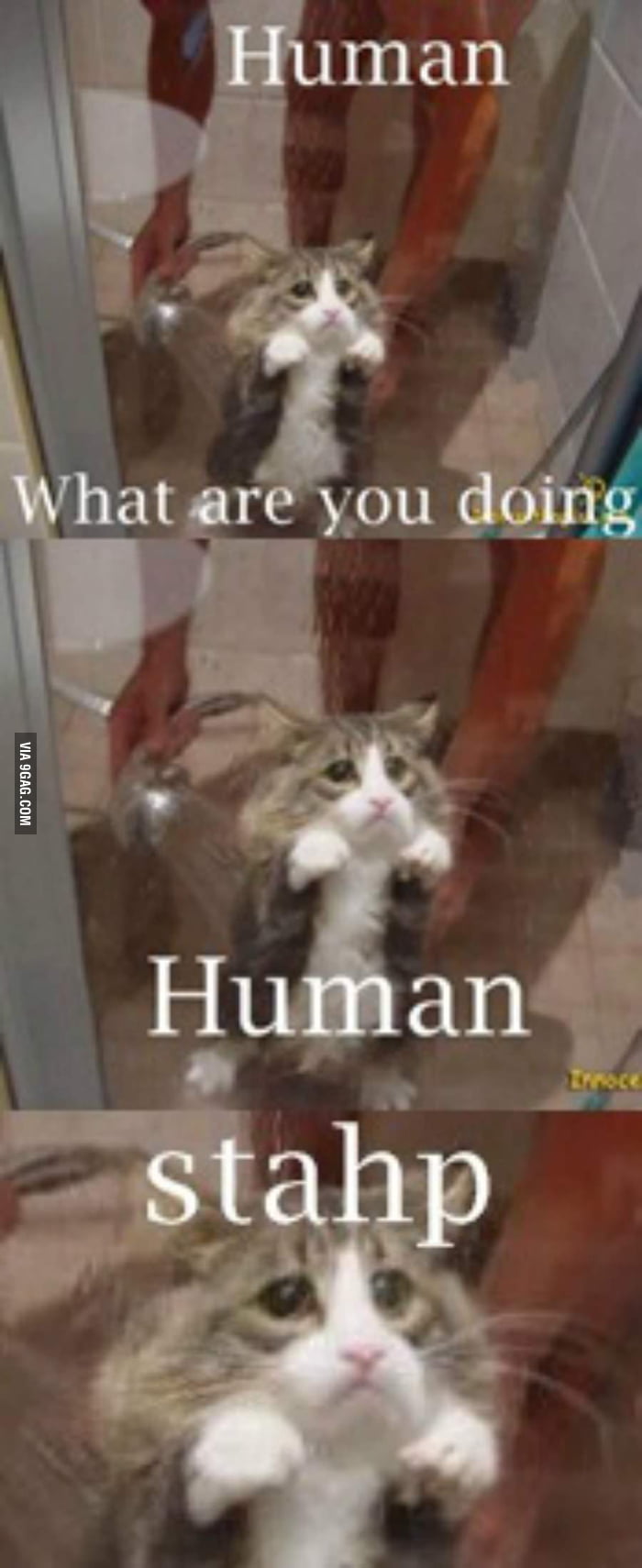 Please, stahp - 9GAG