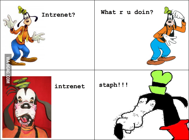 Gooby intrenet pls - 9GAG