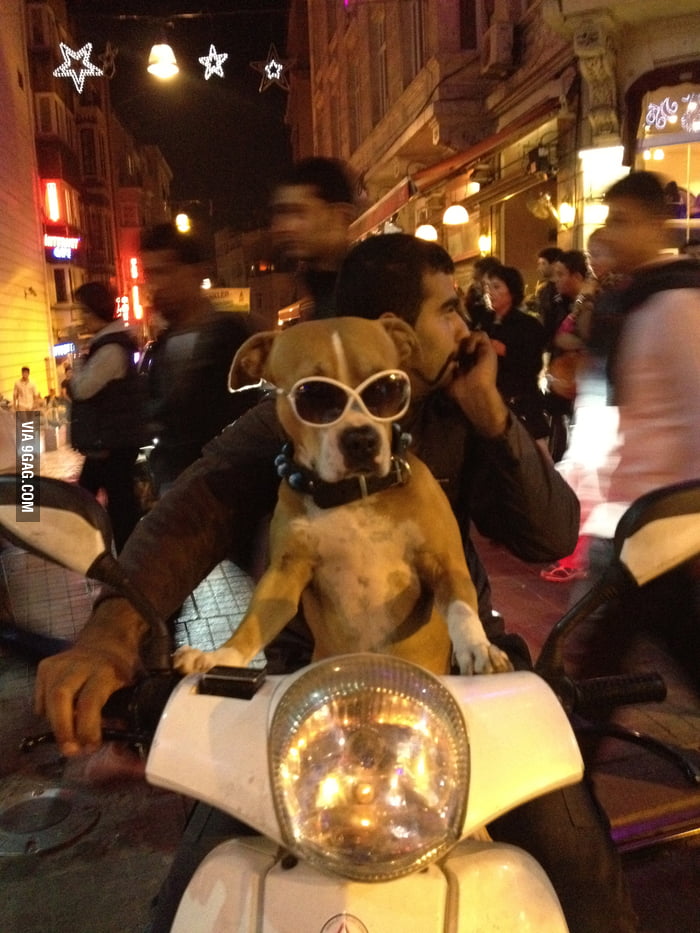 Meanwhile in Turkey - 9GAG