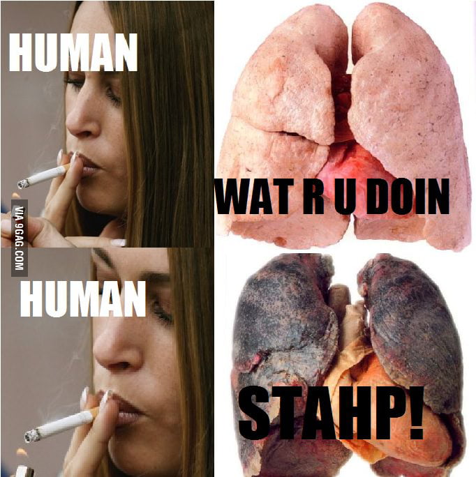 Human...STAHP - 9GAG