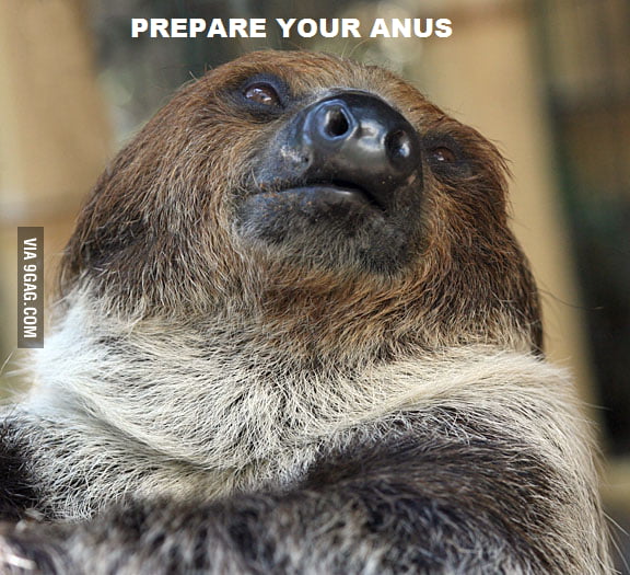 Prepare your anus - 9GAG