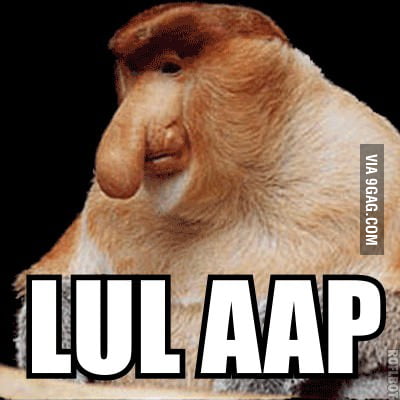 Lul, aap, lulaap - 9GAG