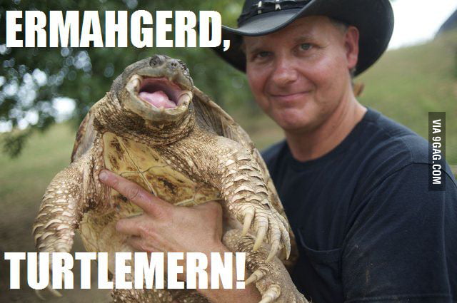 The Turtleman. - 9GAG