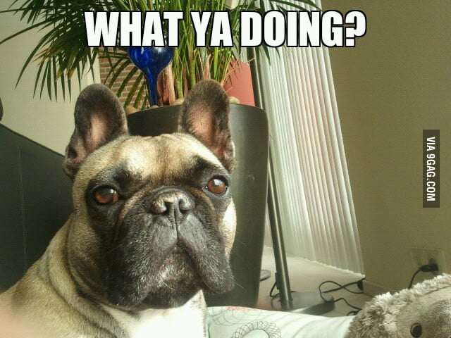 What ya doing? - 9GAG