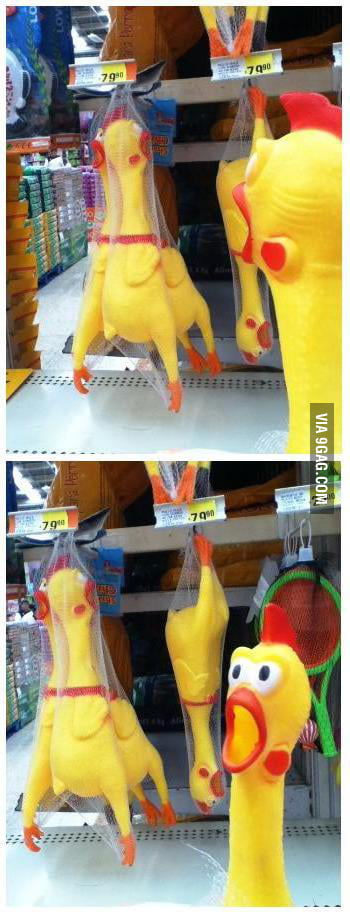 Dramatic chicken in the supermarket - 9GAG