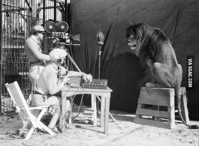 Just the making of MGM's lion intro - 9GAG
