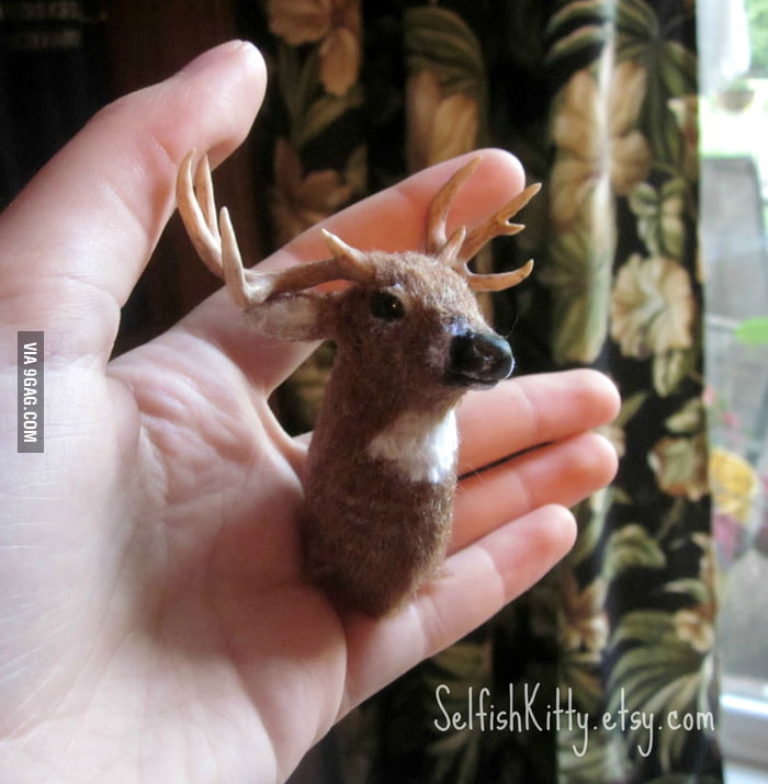 World's smallest deer taxidermy - 9GAG