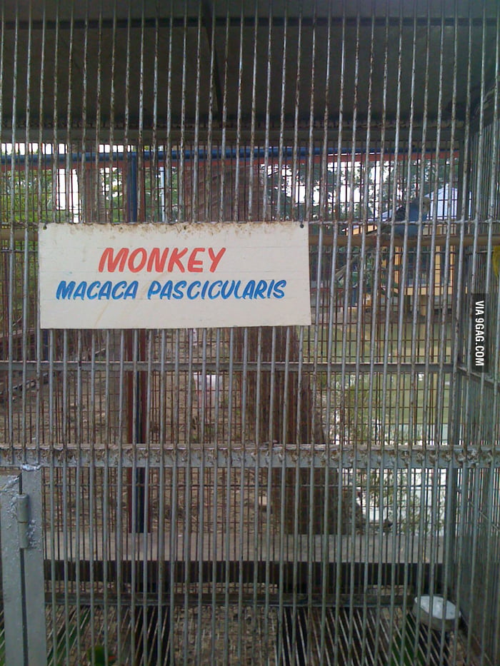 You only had one job - 9GAG