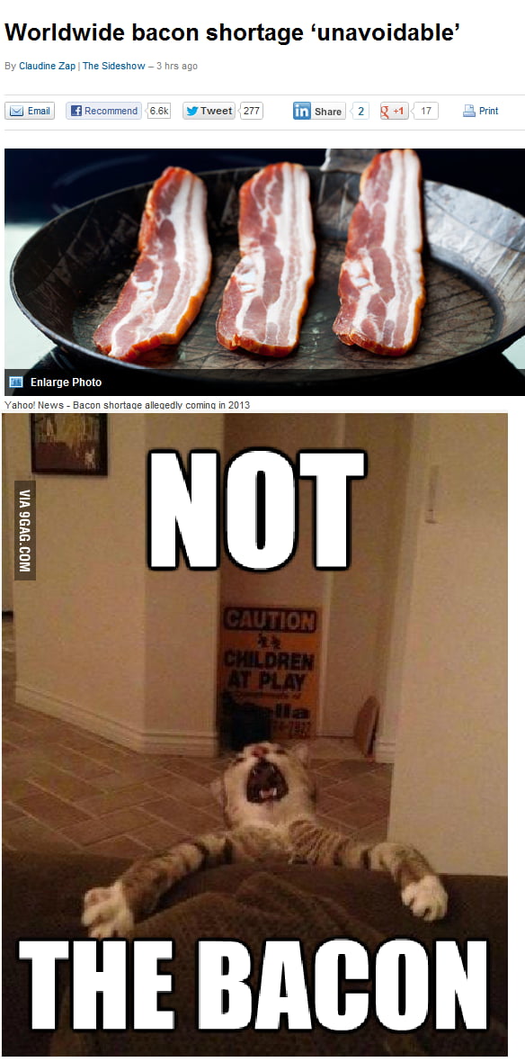 Not The Bacon!!! - 9GAG